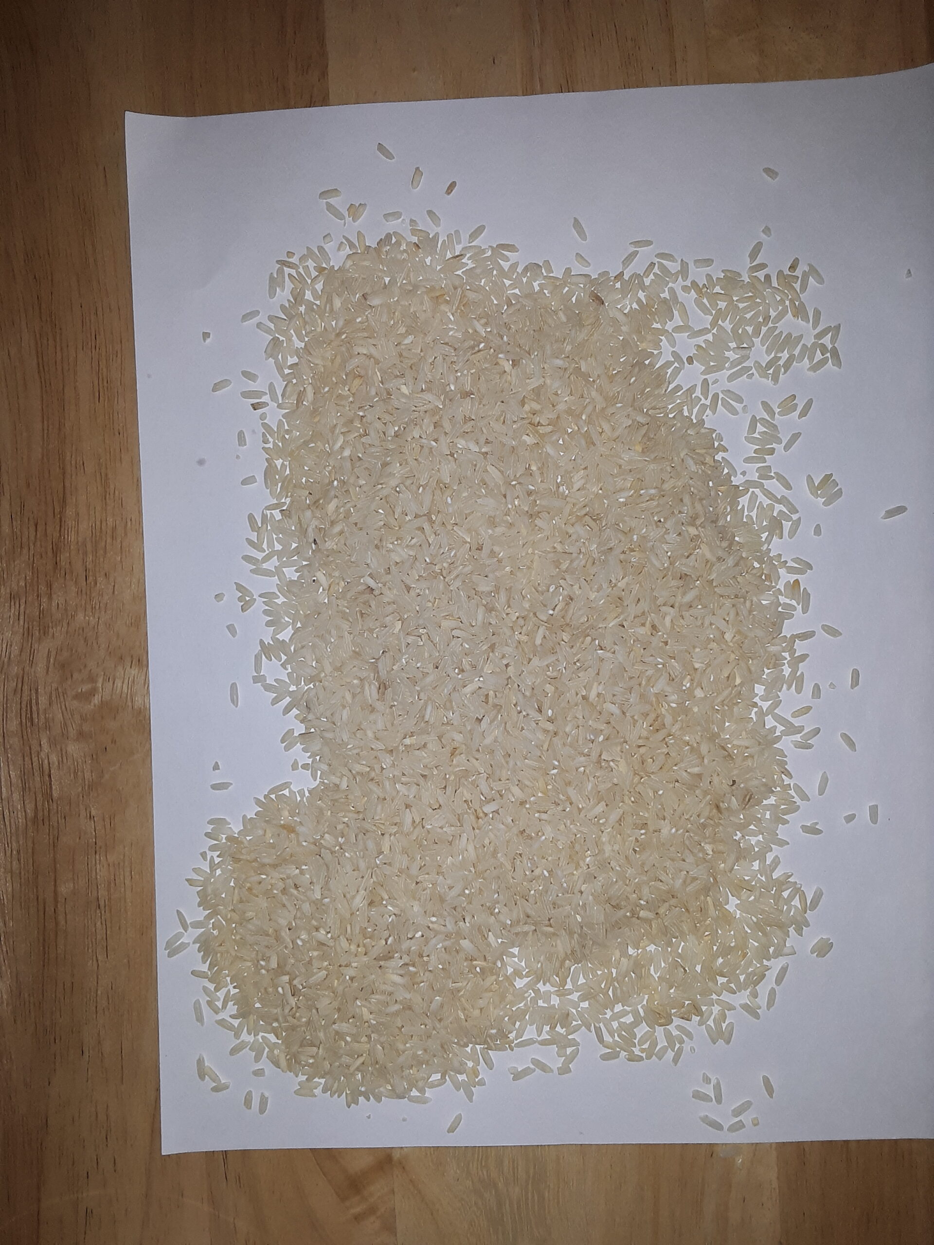 Cartography Fun: Make a Map and Create a World – STAR Net Community