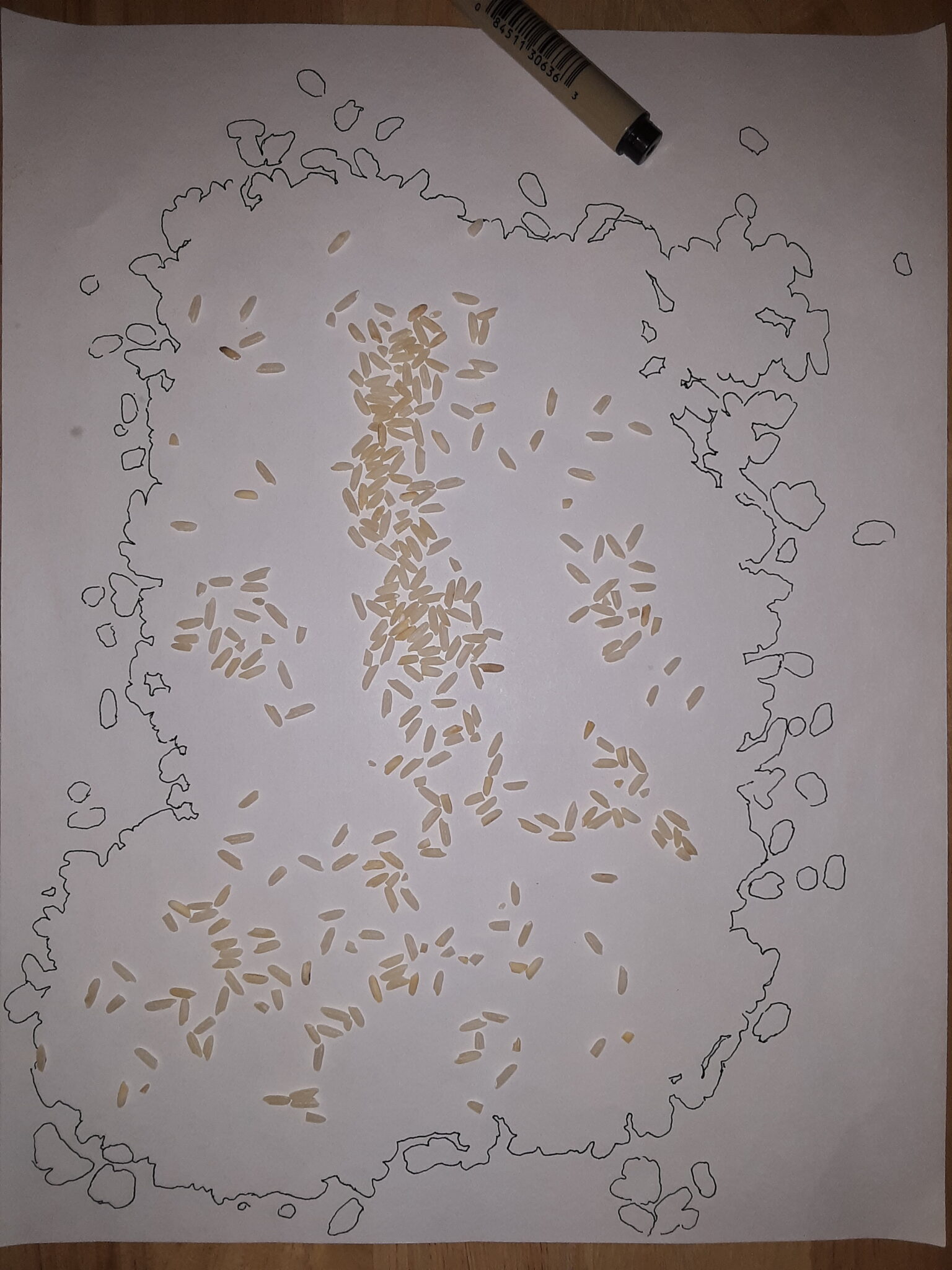 Cartography Fun: Make a Map and Create a World – STAR Net Community