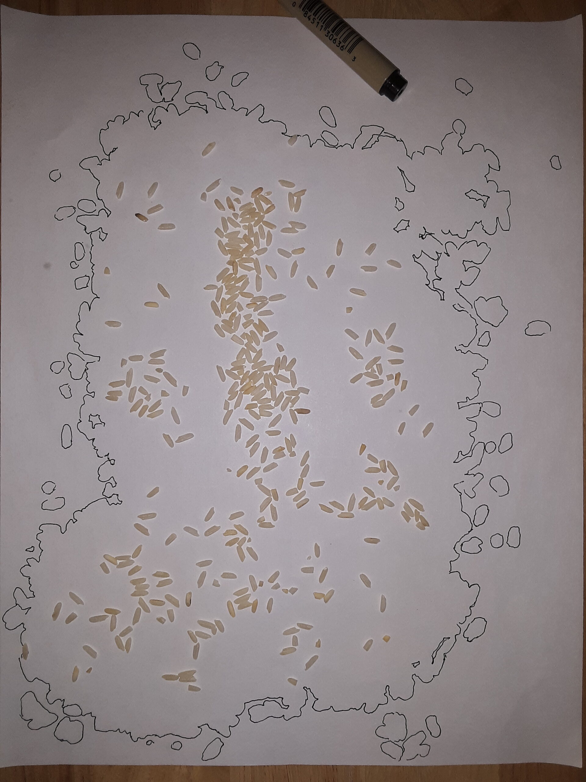 Cartography Fun: Make a Map and Create a World – STAR Net Community