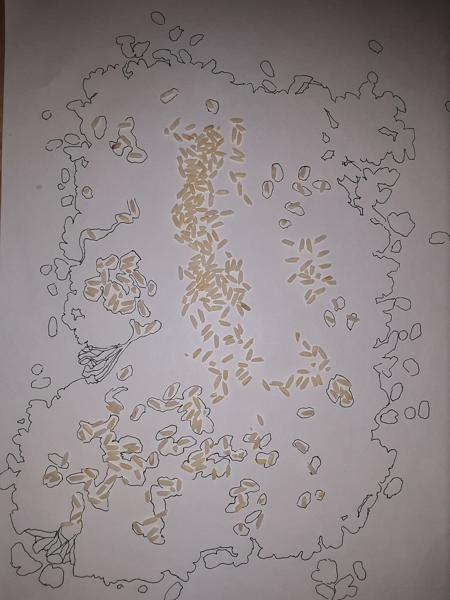 Cartography Fun: Make a Map and Create a World – STAR Net Community