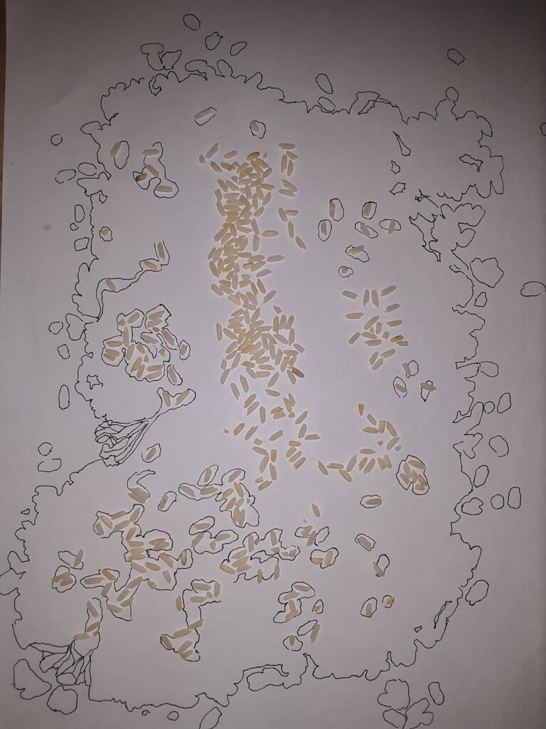 Cartography Fun: Make a Map and Create a World – STAR Net Community