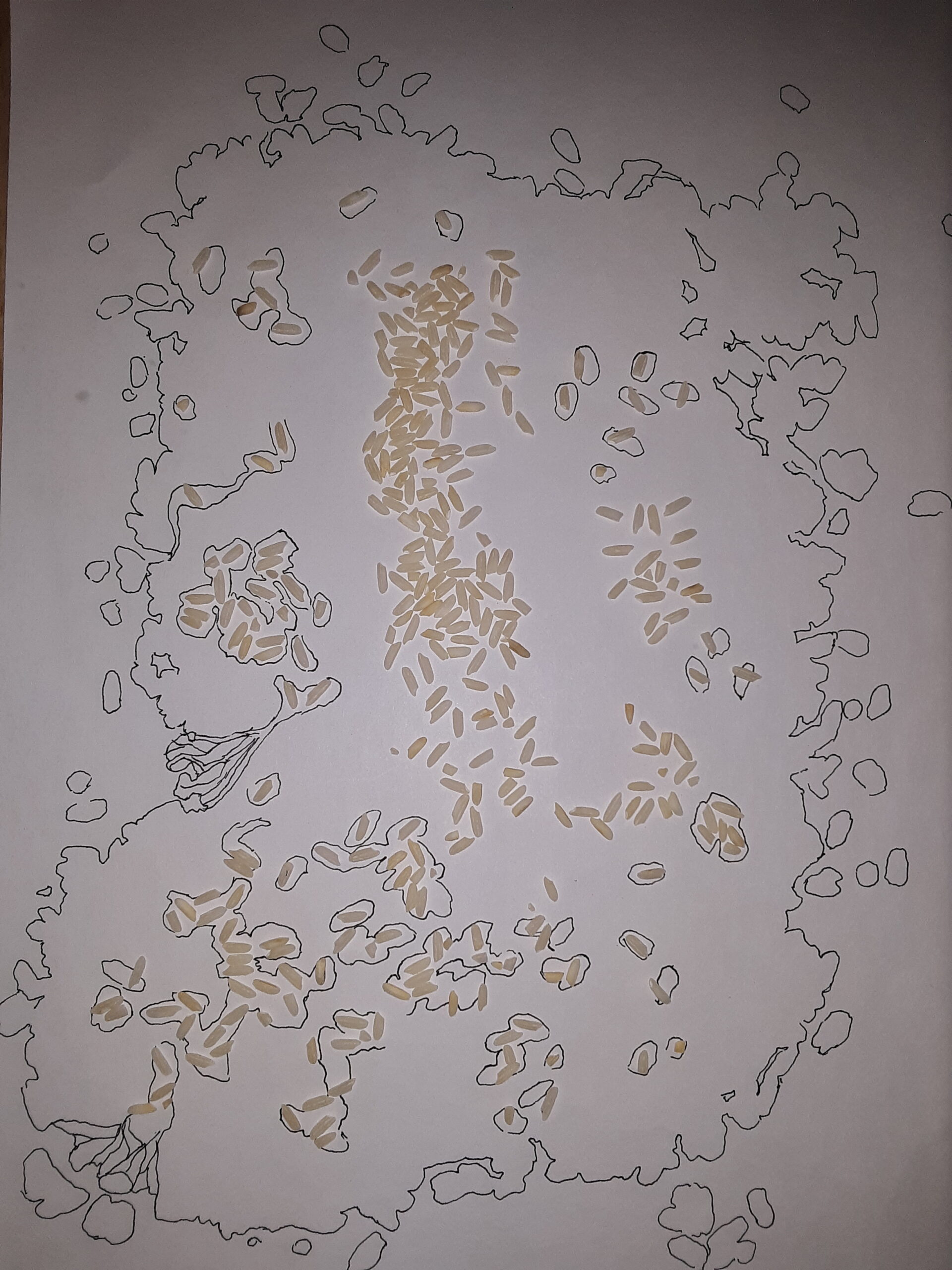 Cartography Fun: Make a Map and Create a World – STAR Net Community