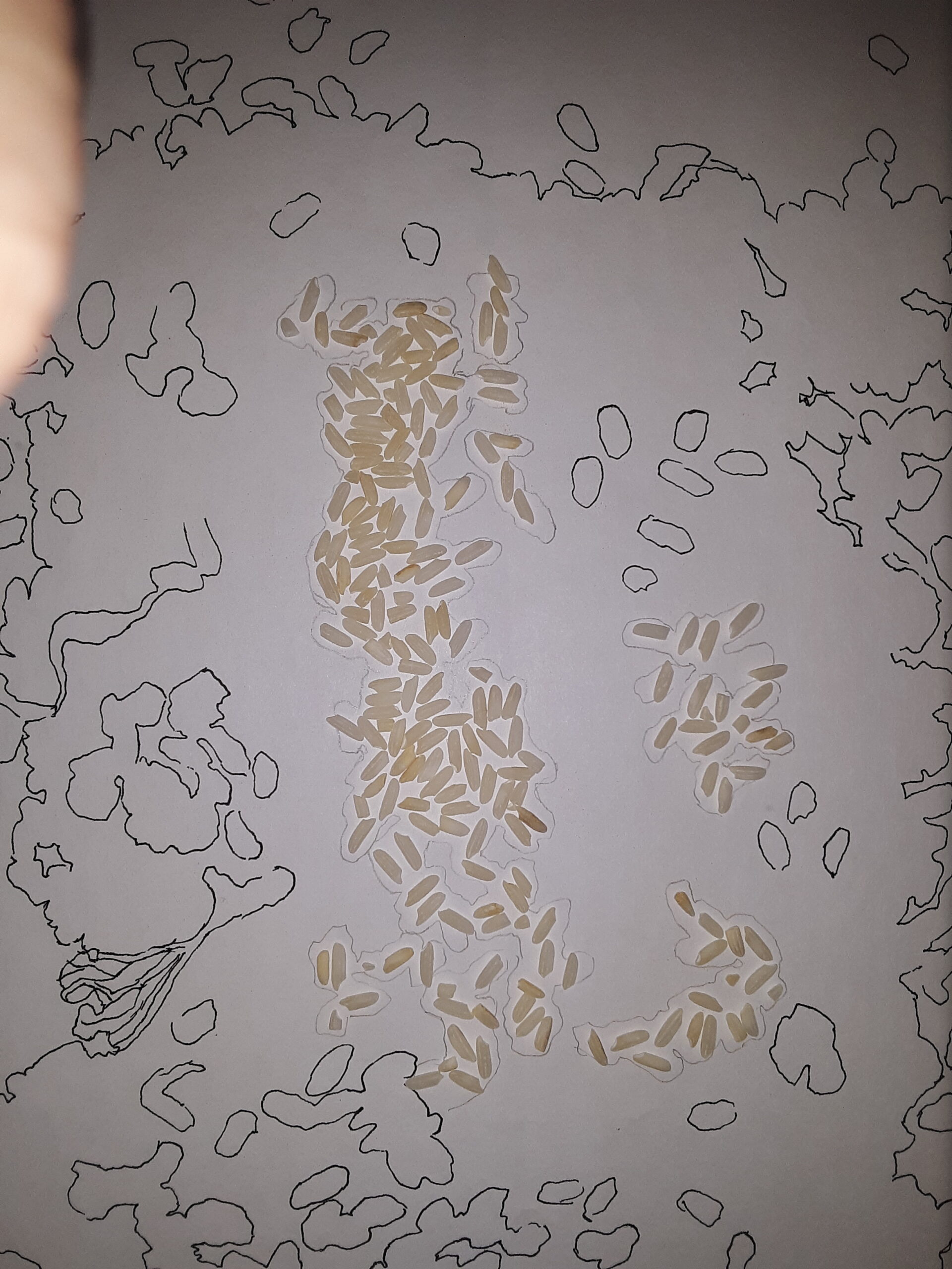 Cartography Fun: Make a Map and Create a World – STAR Net Community