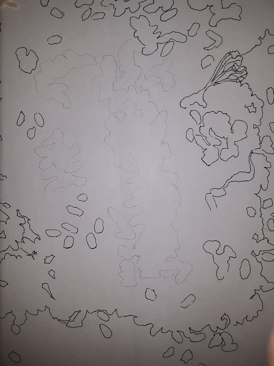 Cartography Fun: Make a Map and Create a World – STAR Net Community