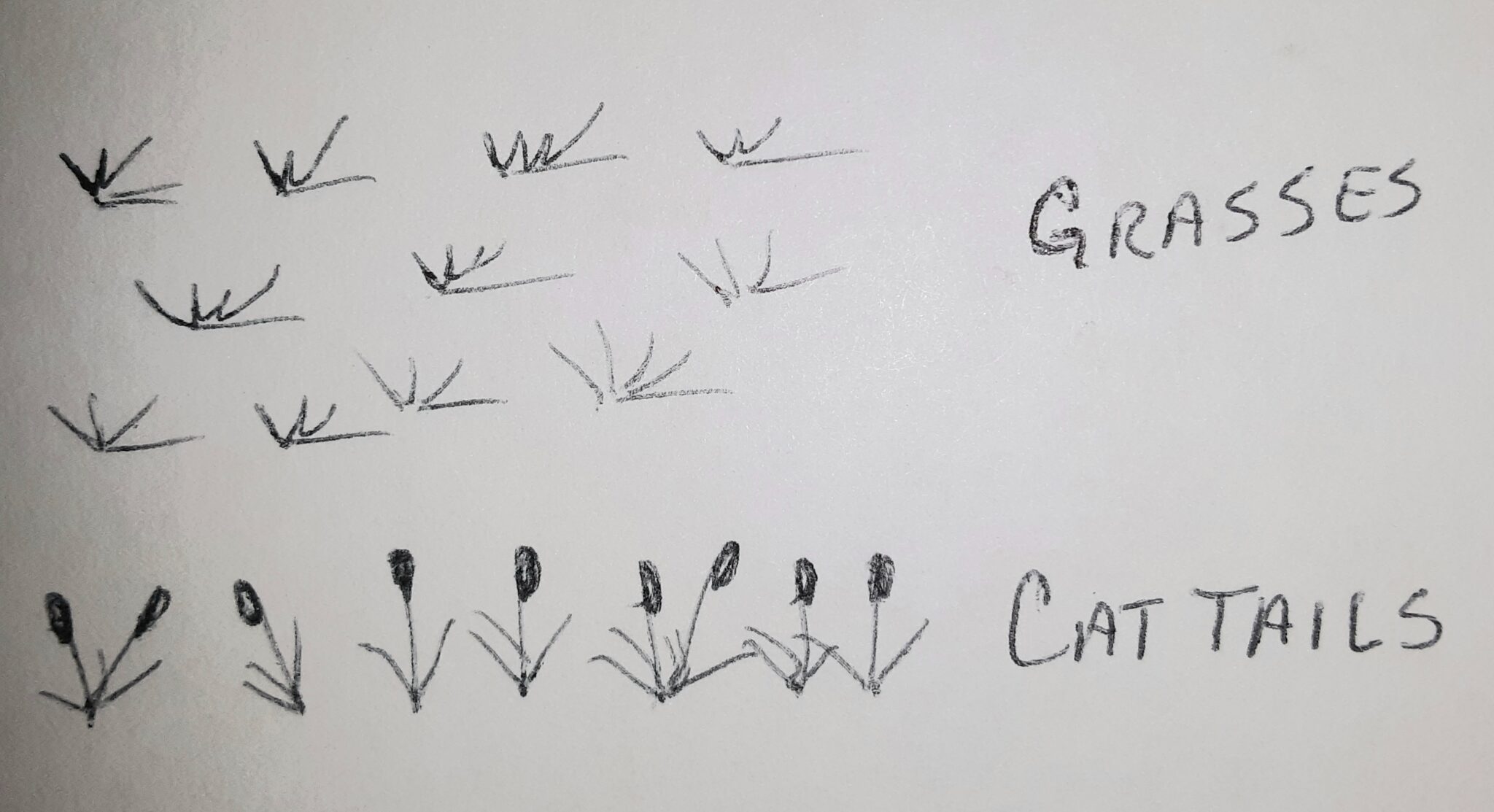 Cartography Fun: Make a Map and Create a World – STAR Net Community