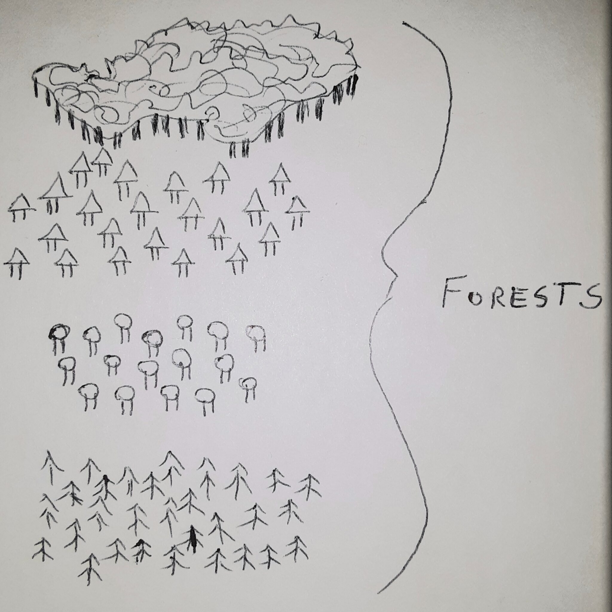 Cartography Fun: Make a Map and Create a World – STAR Net Community